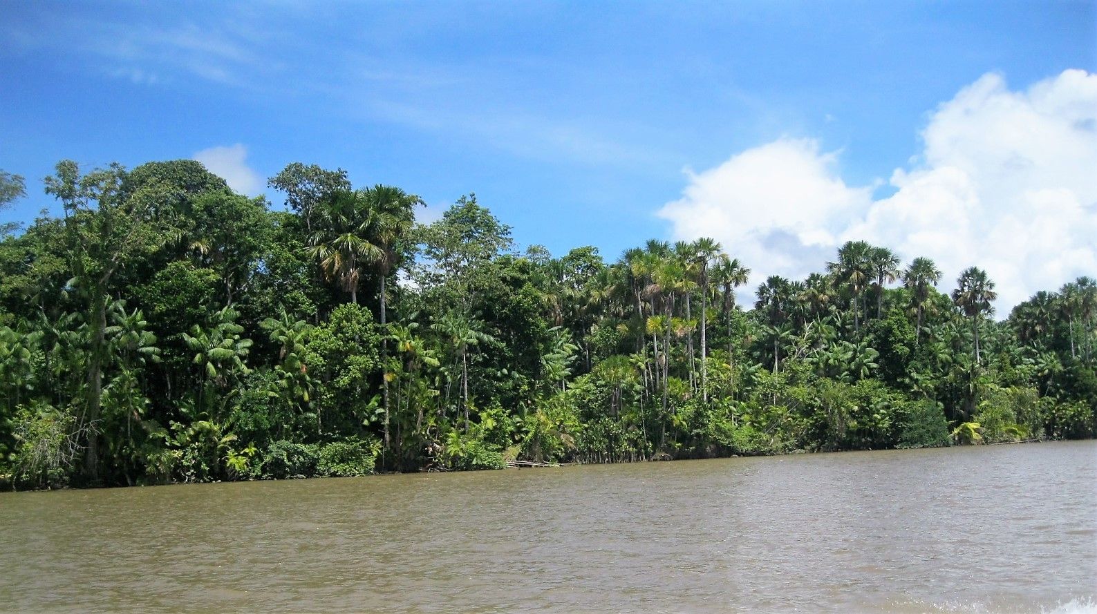 Afuá: um destino inexplorado no Brasil! | 6 Viajantes