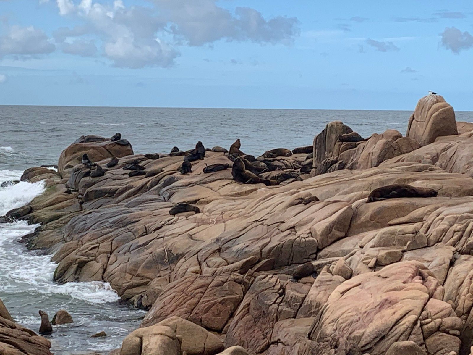 O que fazer em Cabo Polonio em 1 dia | 6 Viajantes