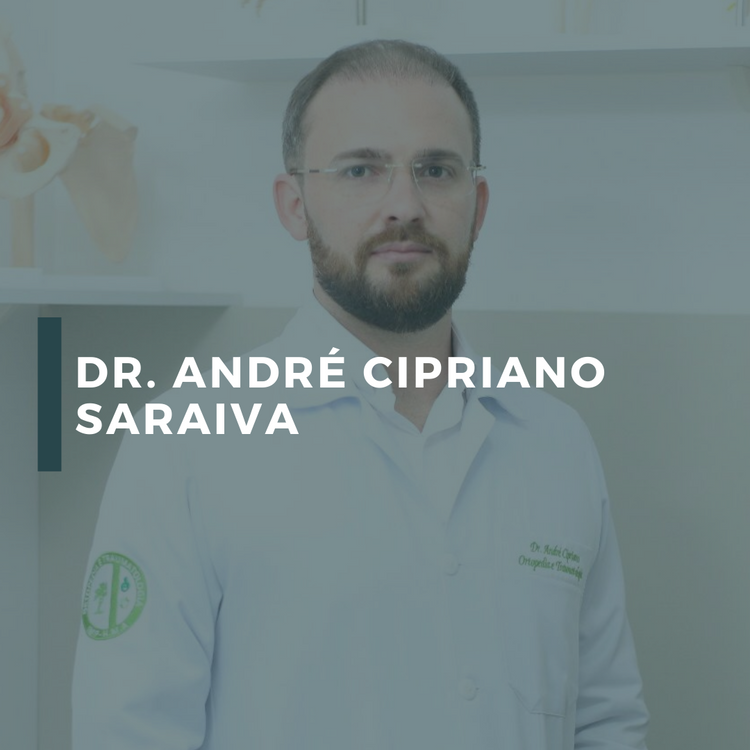Dr.André Cipriano Saraiva Gomes (PI) | Tecnica de Figueiredo